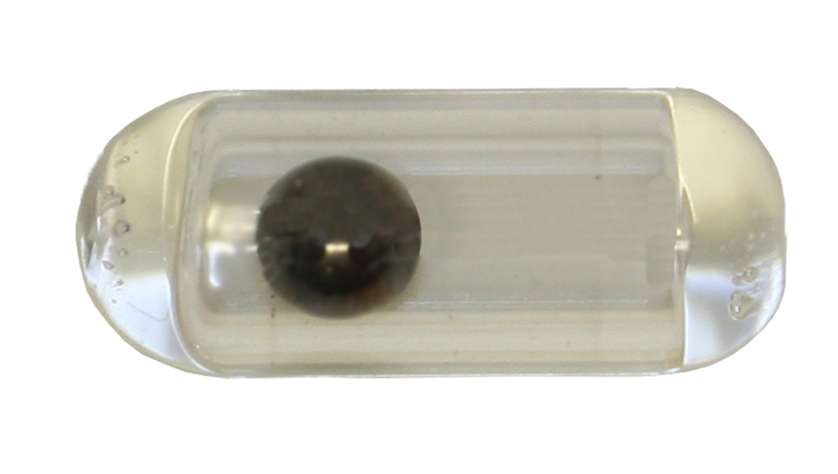 Glass Rattle - Hagen's Fishing Components