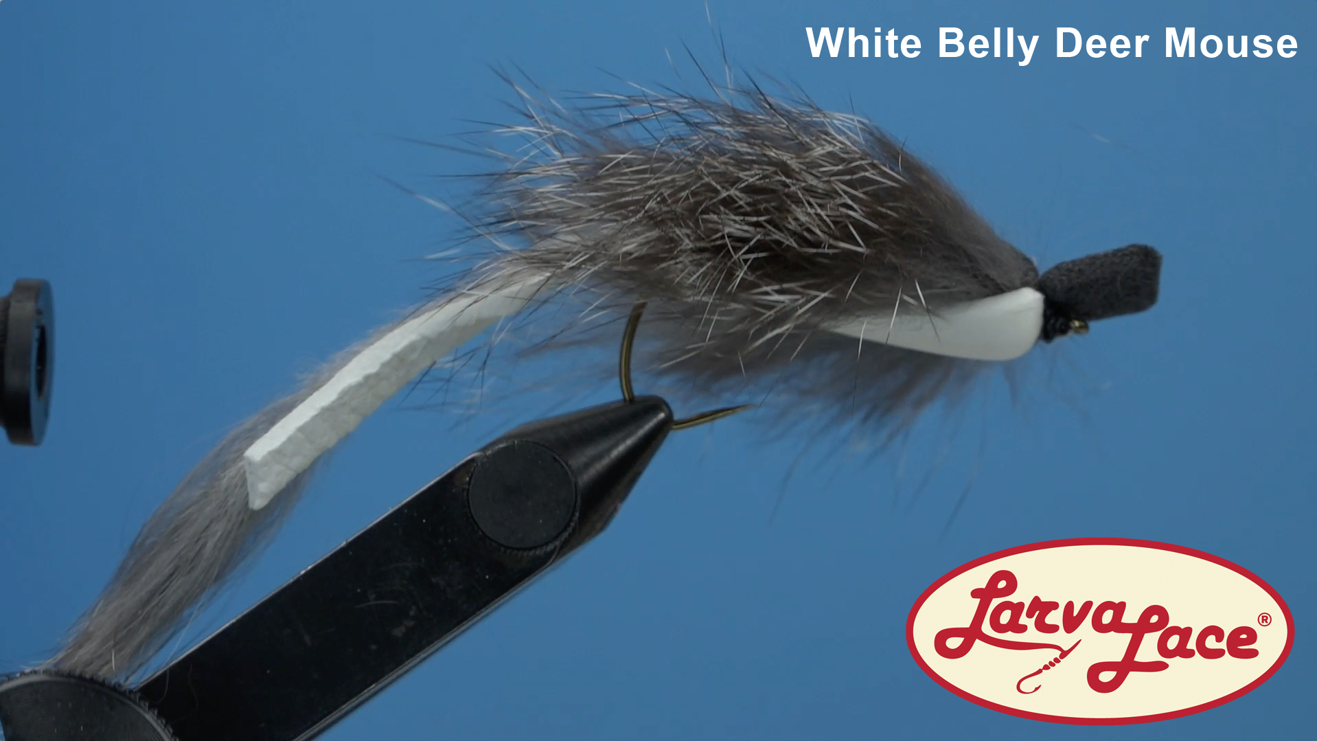 Easy mouse fly tying tutorial: White Belly Deer Mouse Fly - Hagen's ...
